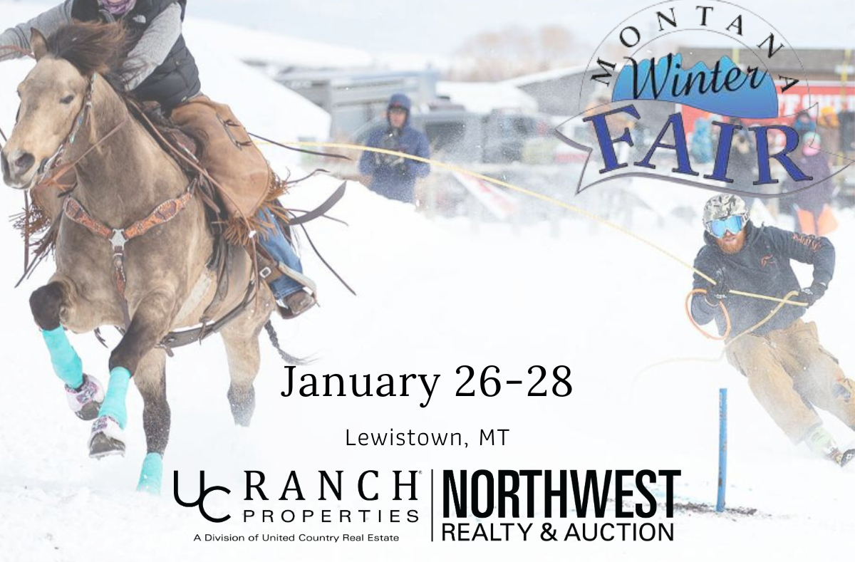 Montana Winter Fair in Lewistown: A Celebration of Agriculture and ...