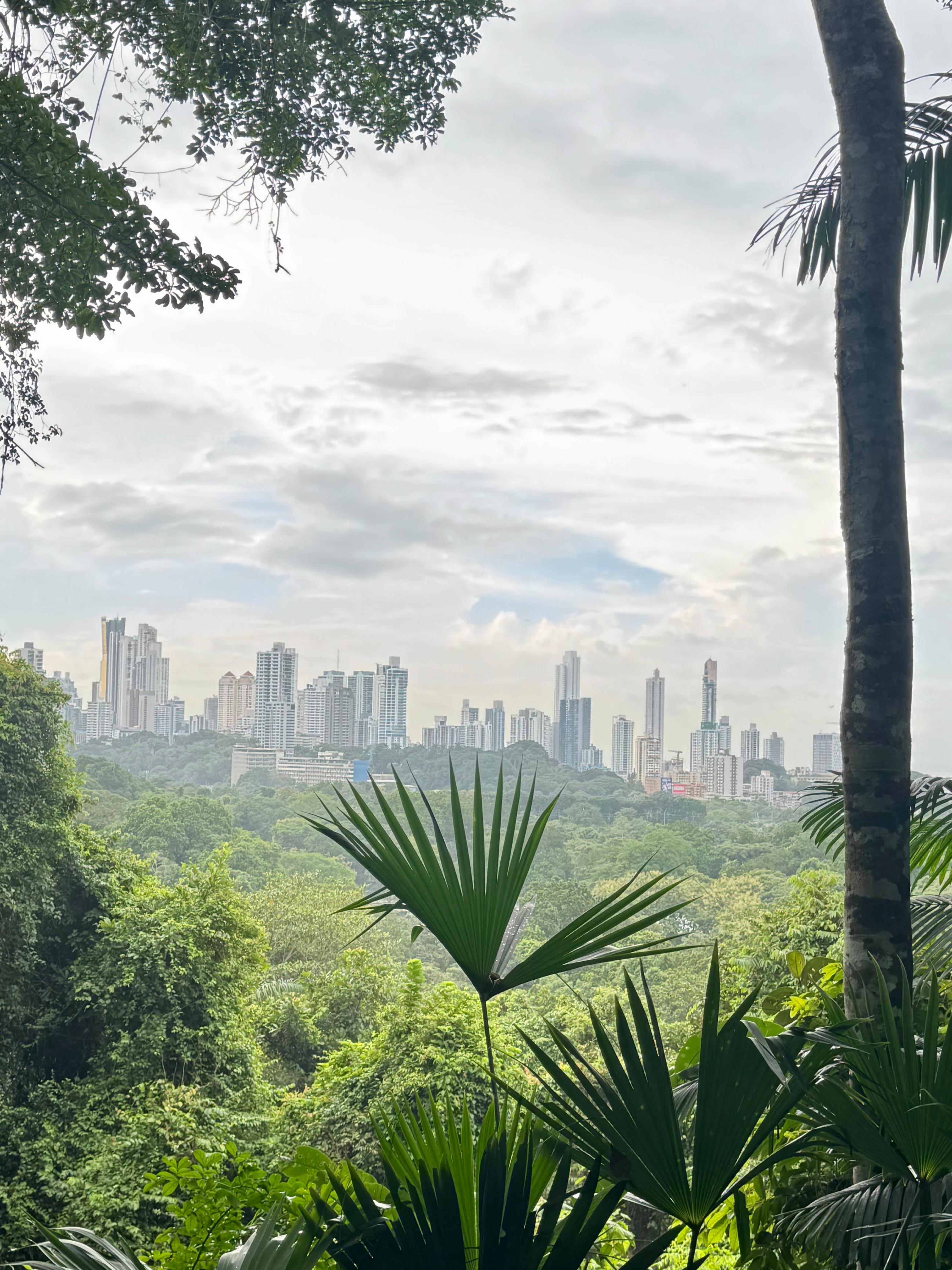 PANAMA: The Best Place in the World to Retire and Prosper at Any Age ...