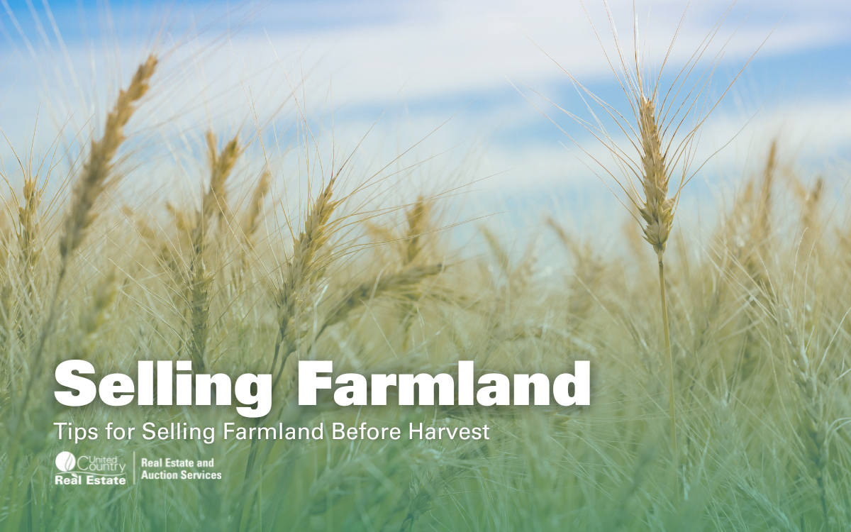 6 Tips for Selling Farm Land Before Harvest | United Country Real ...