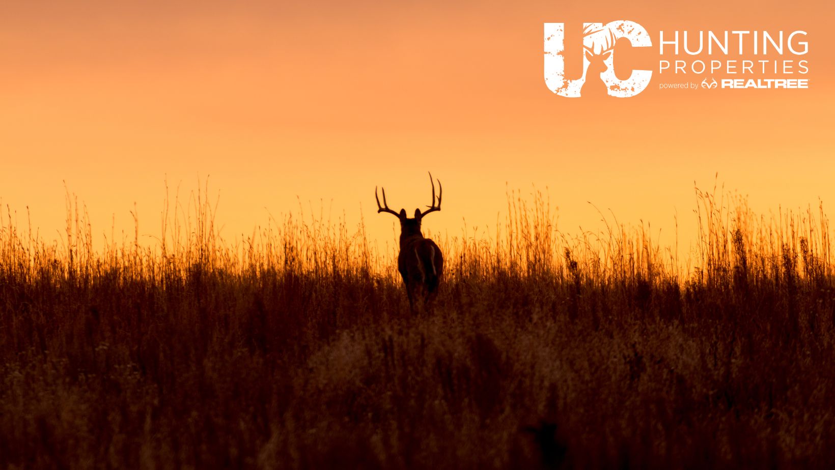 The Benefits of Working with a UC Hunting Pro for Your Land and ...