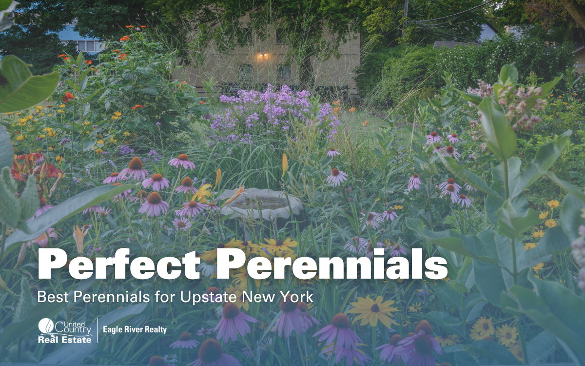 The Best Perennials to Plant in Upstate New York | Eagle River Realty ...