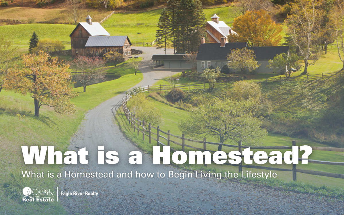 What is a Homestead? A Guide to Self-Sufficient Living | Eagle River ...