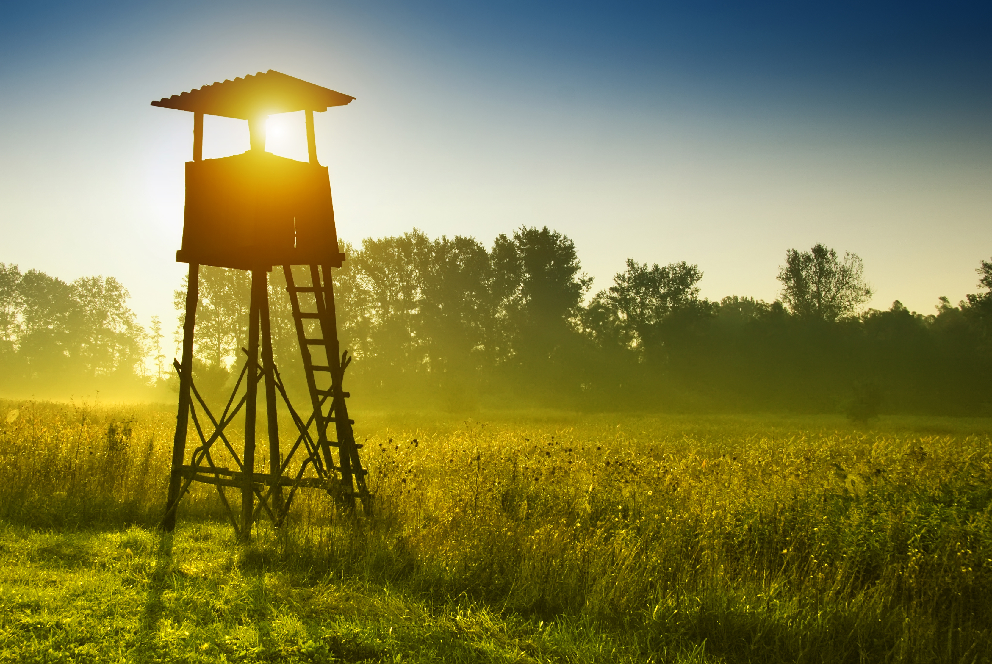 Choosing the Best Hunting Land: Key Factors to Consider | 5 Rocks Realty