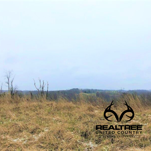 Ohio Hunting Land in Belmont County