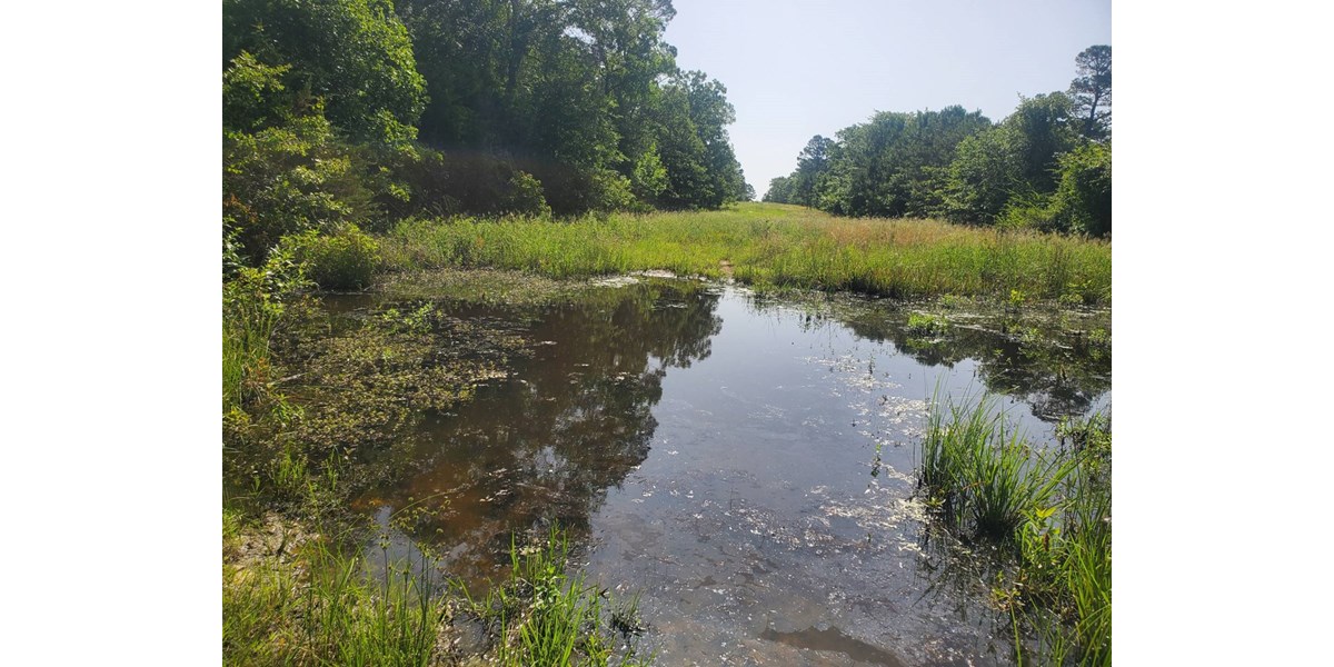 43.23 Wooded Acres With Pond Close To Atoka Oklahoma
