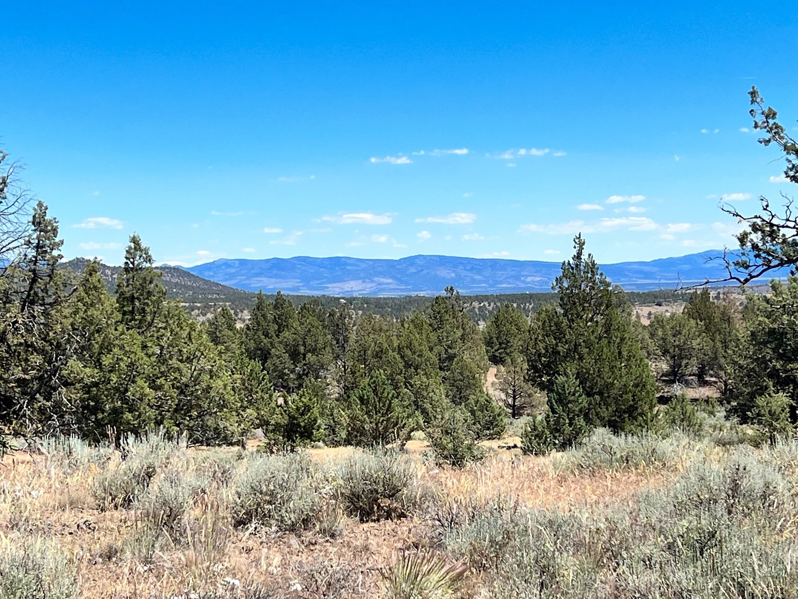 Search All Area Alturas California Real Estate in Modoc County Listings