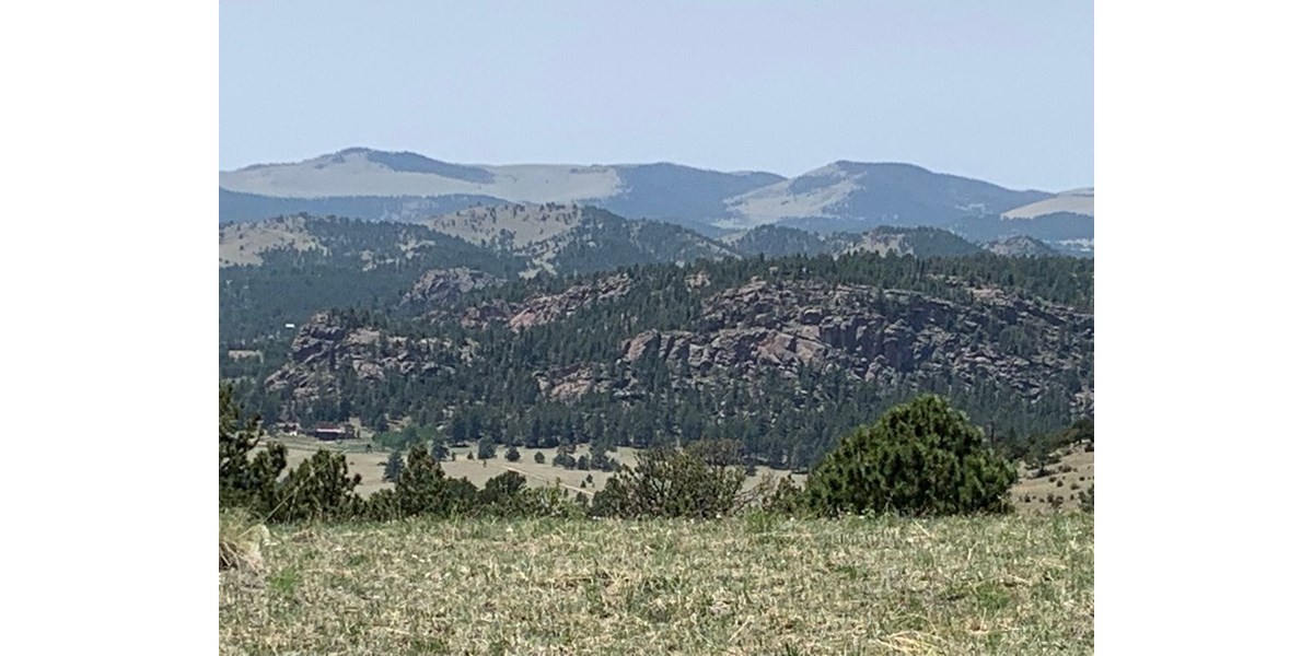BEAUTIFUL 35 ACRE PROPERTY