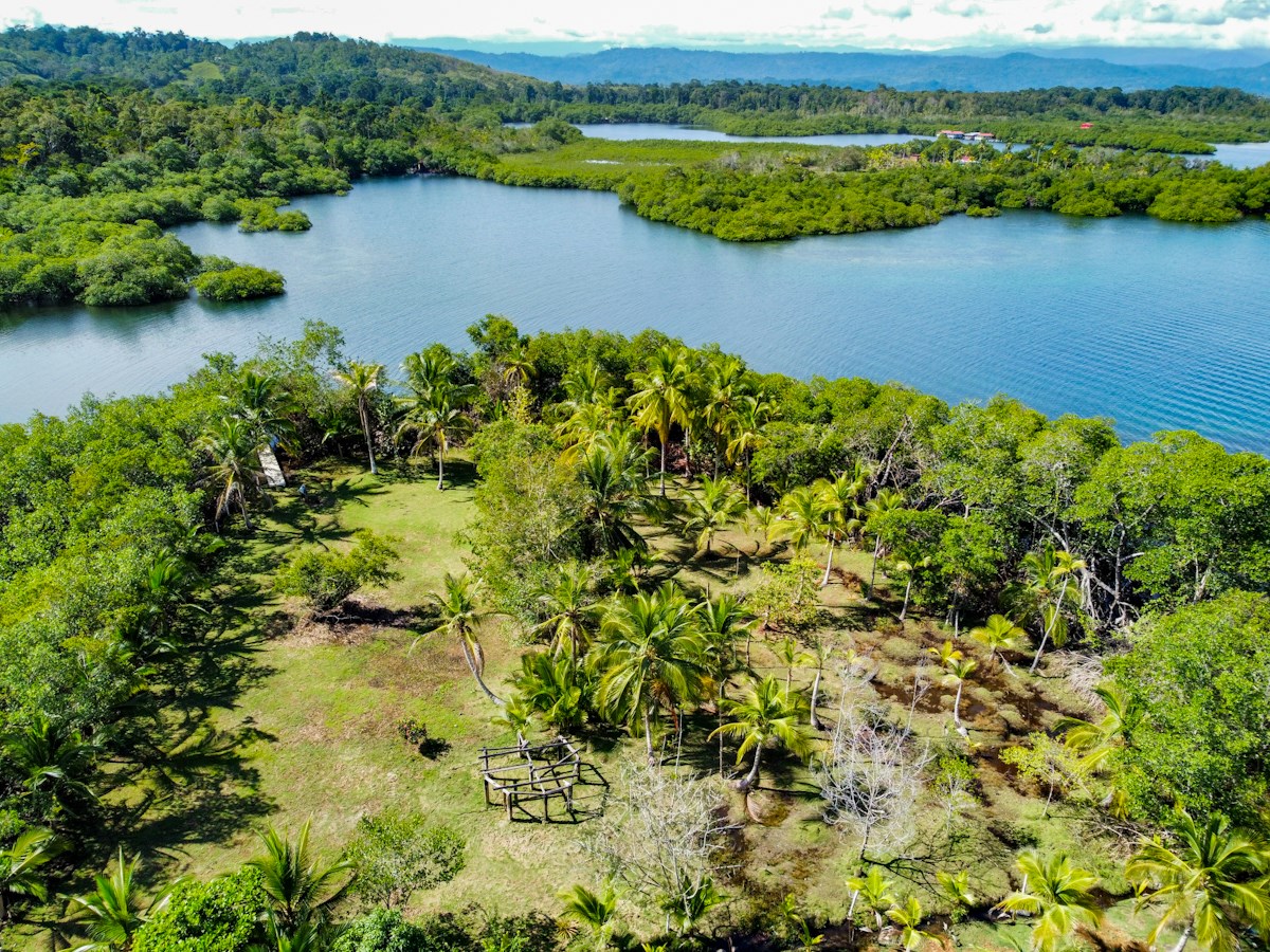 Titled Waterfront Land with Dock and Deep Water Anchorage