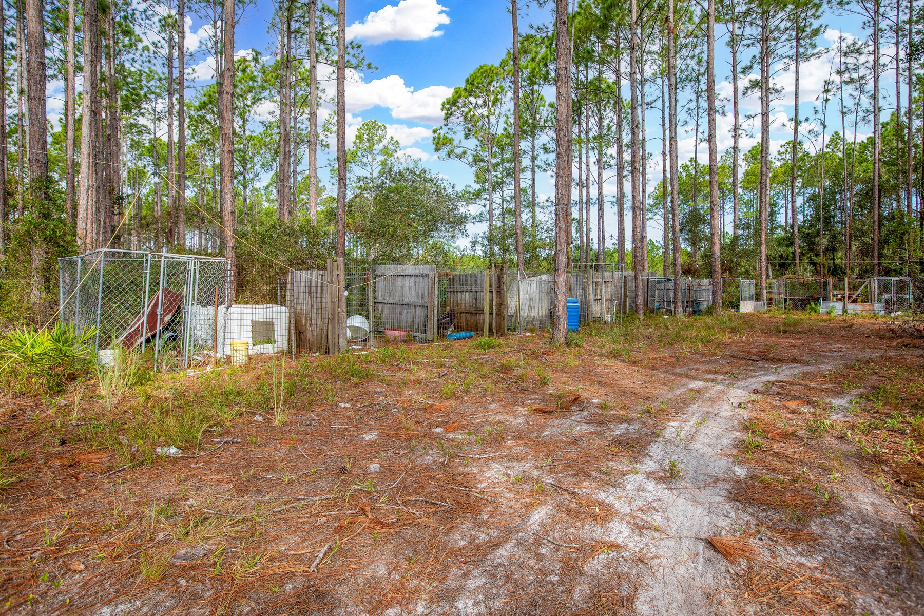 Steinhatchee Florida! Gulf Of Mexico! Taylor County Florida!