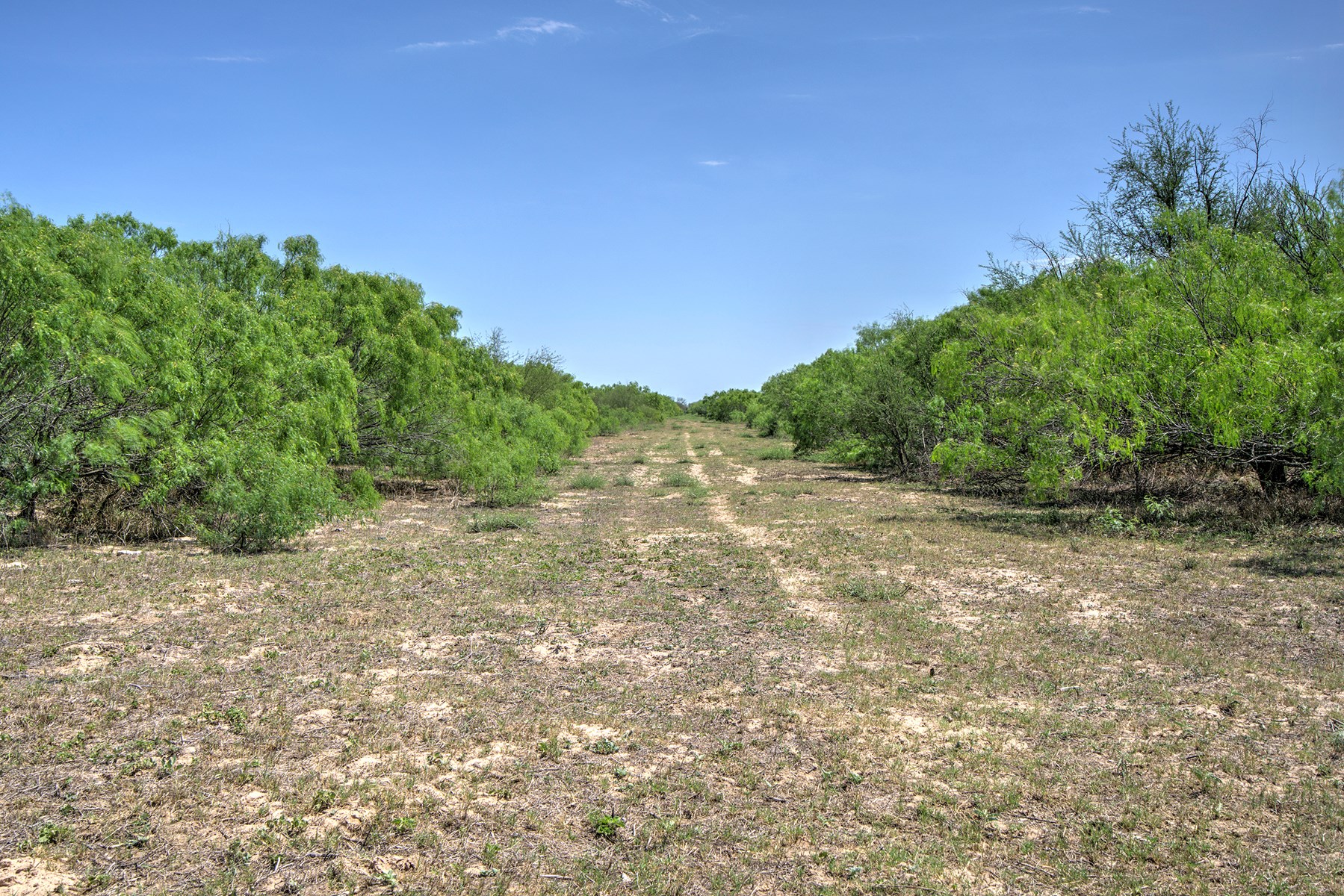 SOUTH TEXAS BRUSH COUNTRY - 690 Acres in Falfurrias, Texas