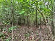 Land For Sale In Bassett VA 