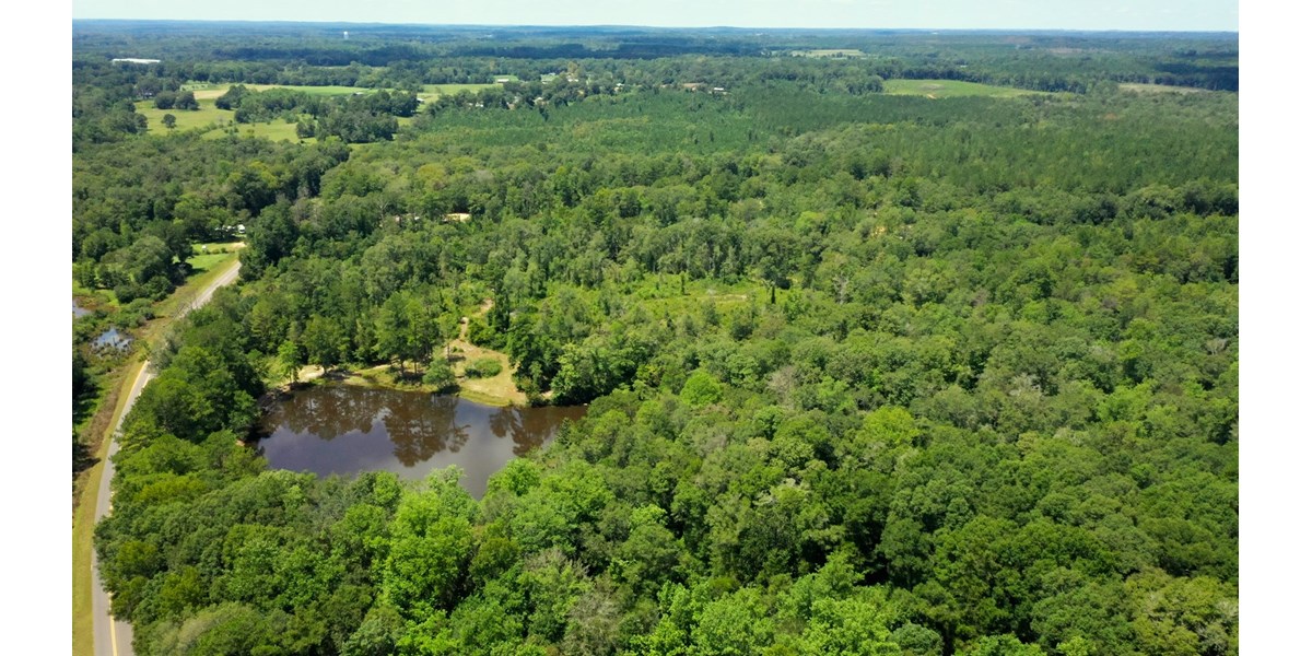 54 +/- ACRES IN BRANTLEY, AL