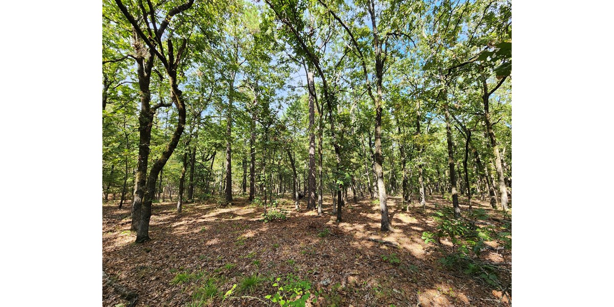 40 Acre Sans Bois Mountain Recreational Property