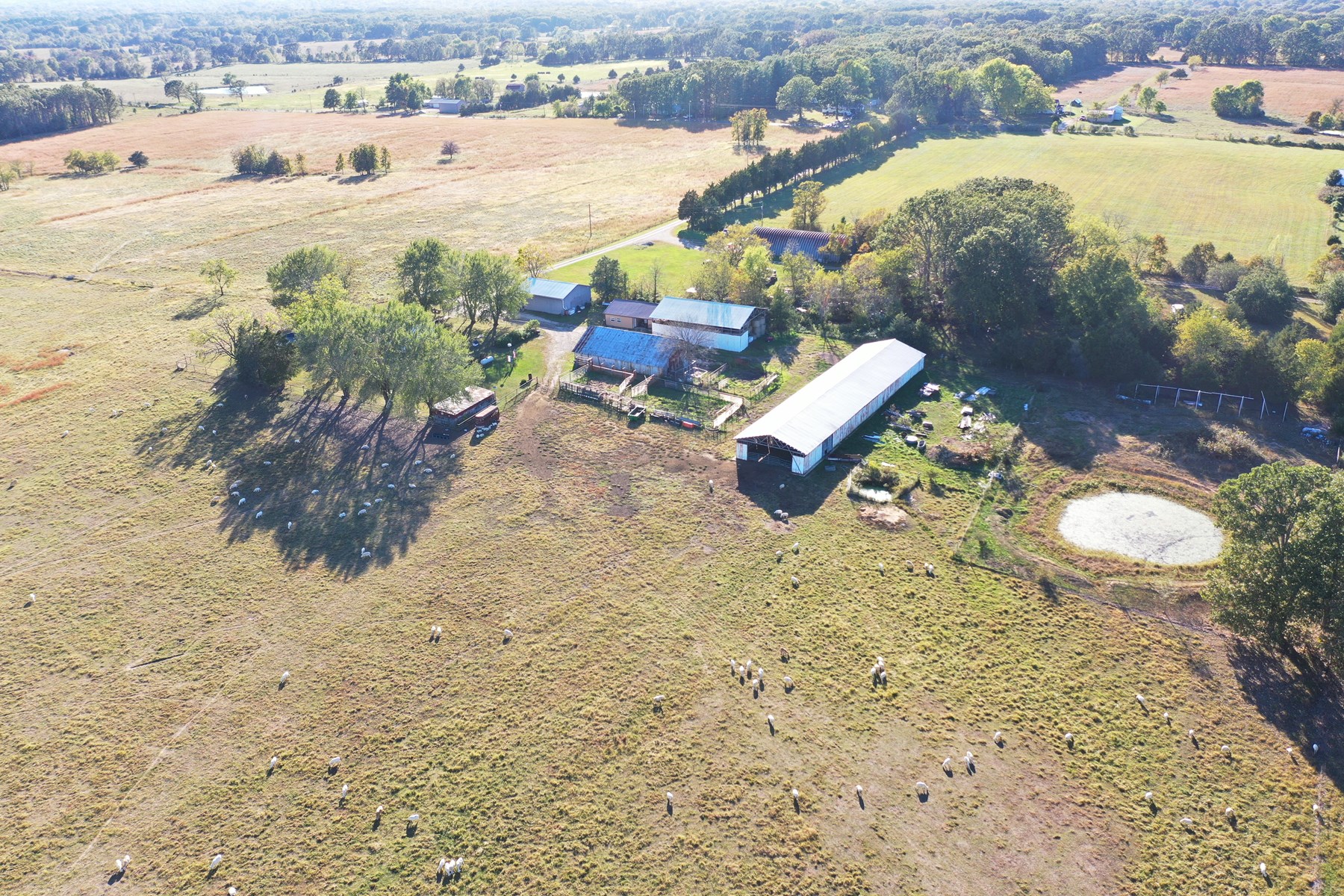 FARM WITH 150 ACRES IN SALEM, PERFECT FOR LIVESTOCK!