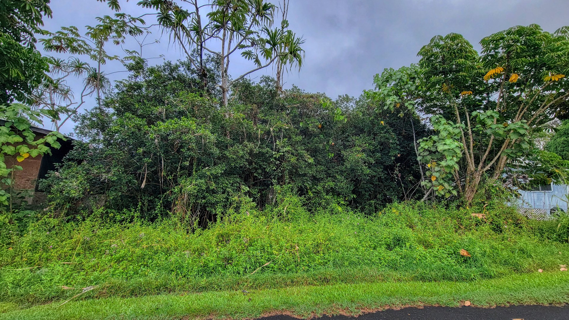 .26 ACRE LOT IN HAWAIIAN BEACHES SUBDIVISION/BIG ISLAND HI