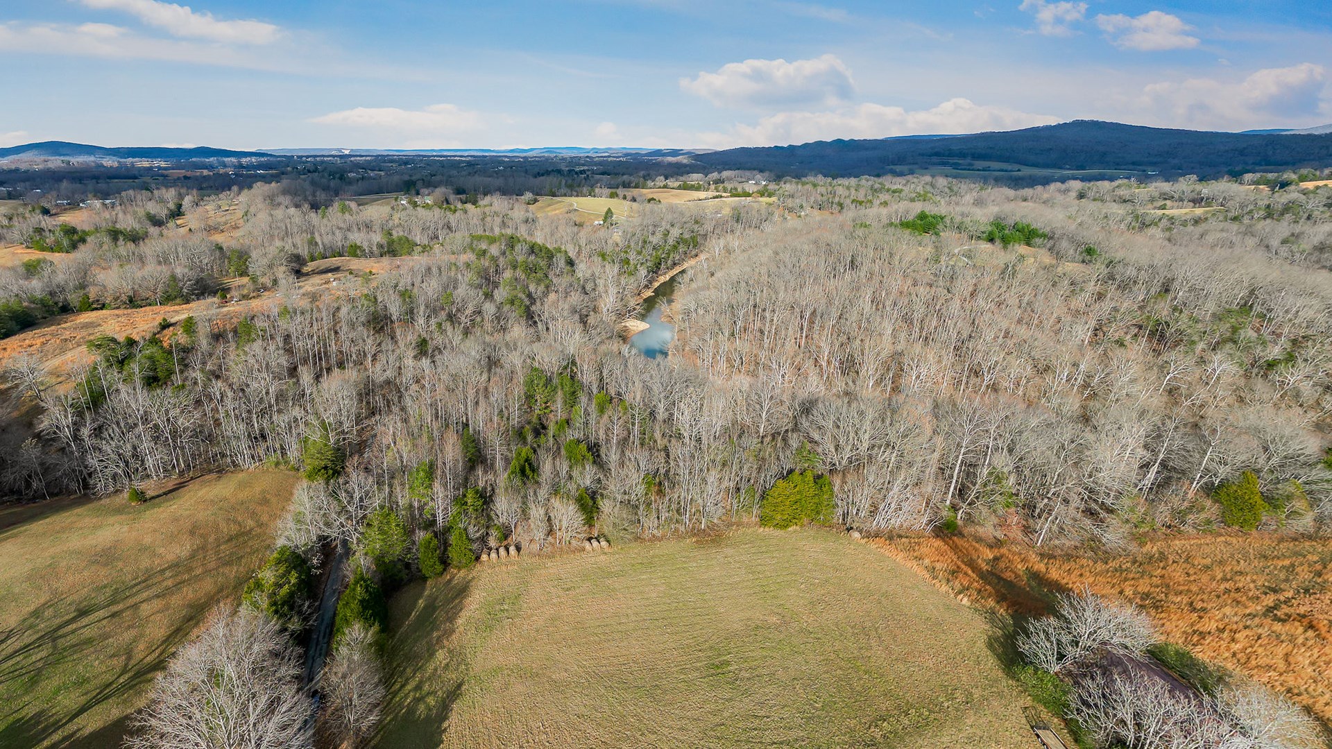 Escape to nature on this stunning 5.02-acre property!