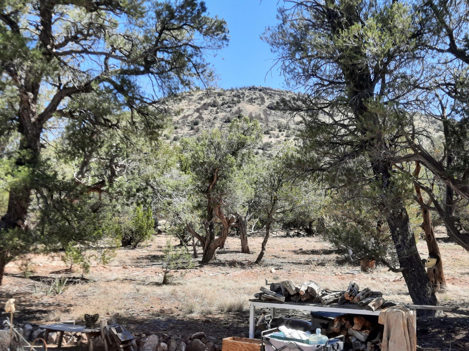 Uncover The Secrets Of 12204 W Hwy 62 Farmington Az A Hidden Gem Or A Diamond In The Rough