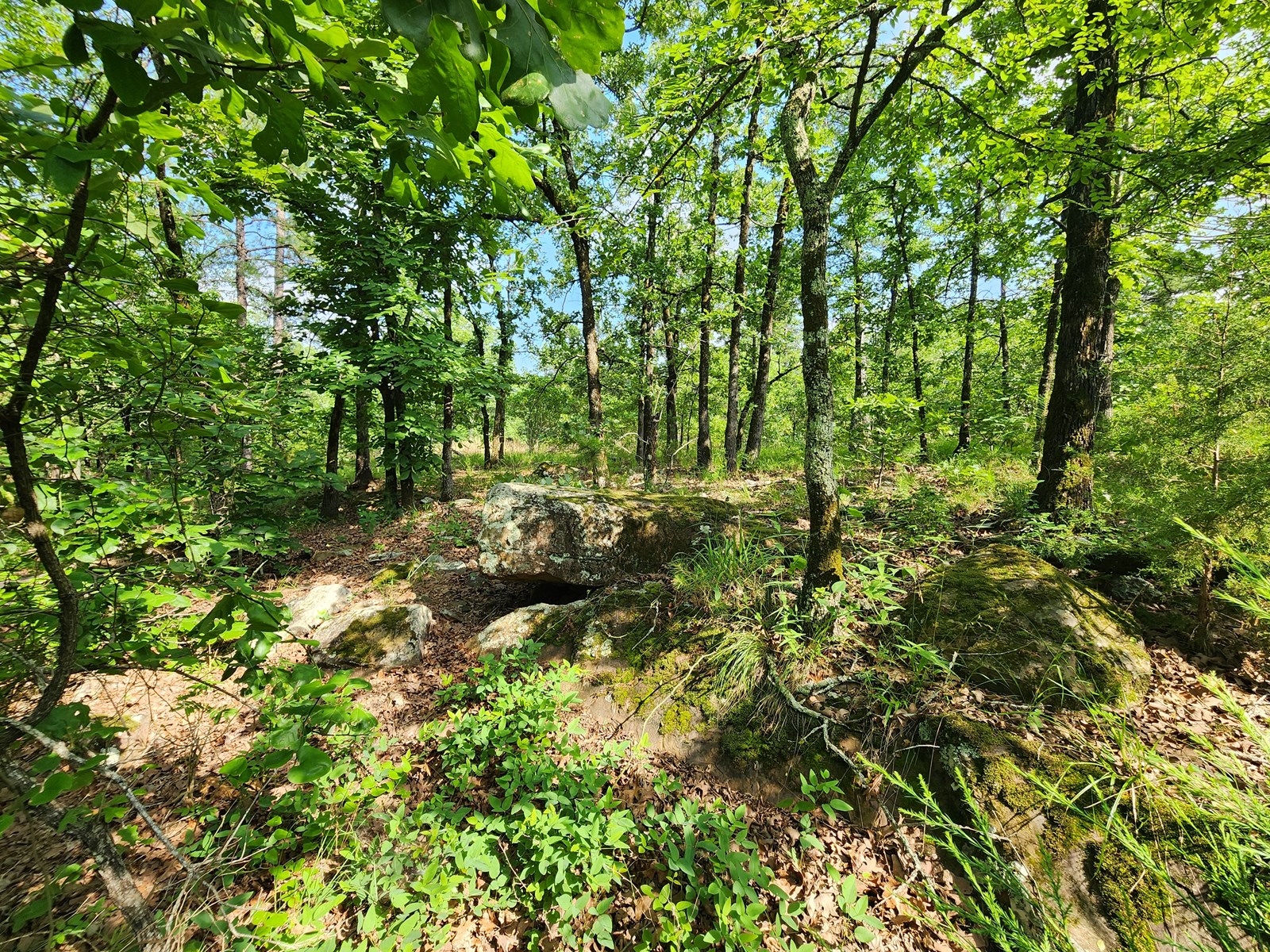 Recreational Property - National Forest Area