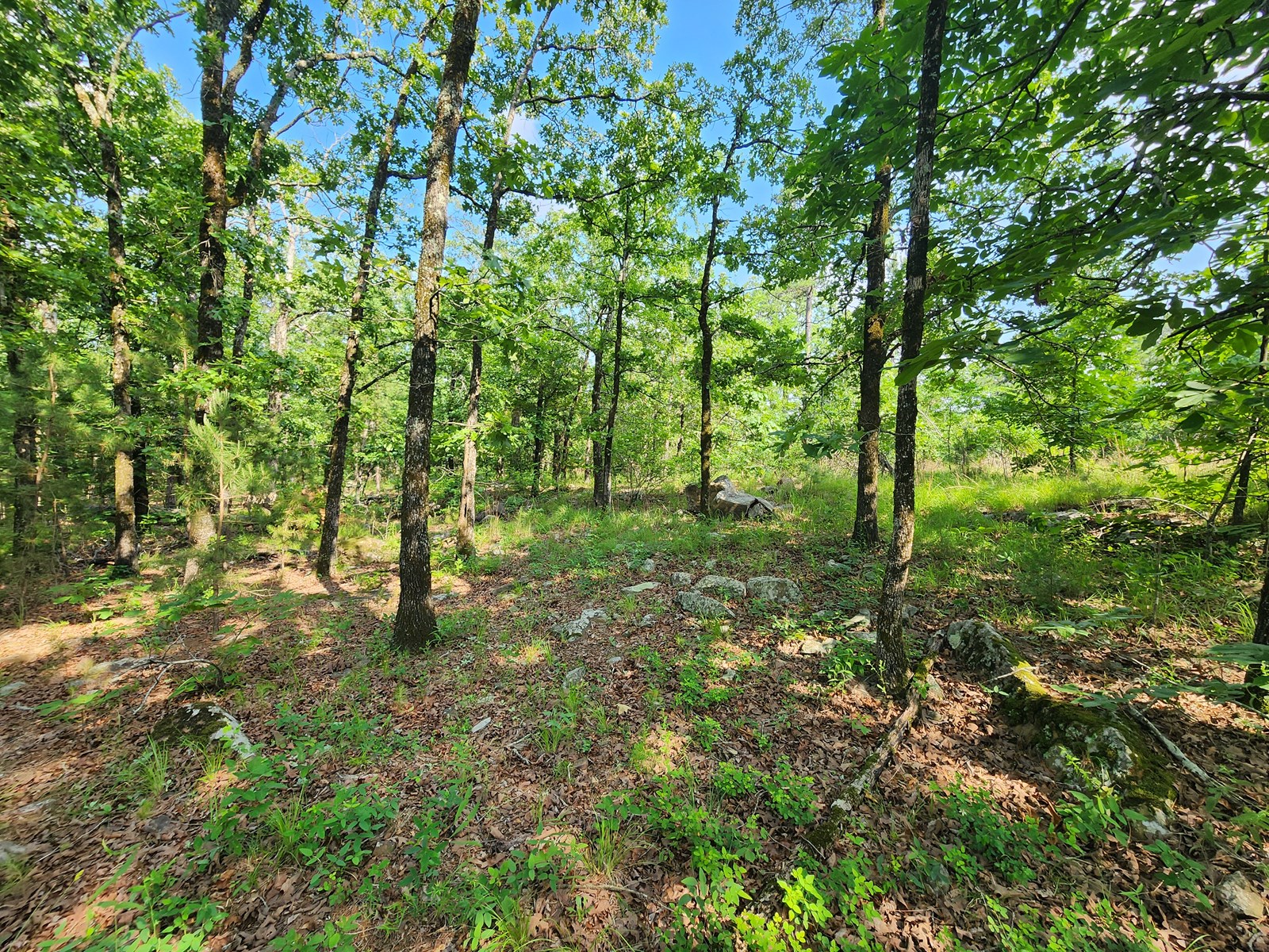 Recreational Property - National Forest Area