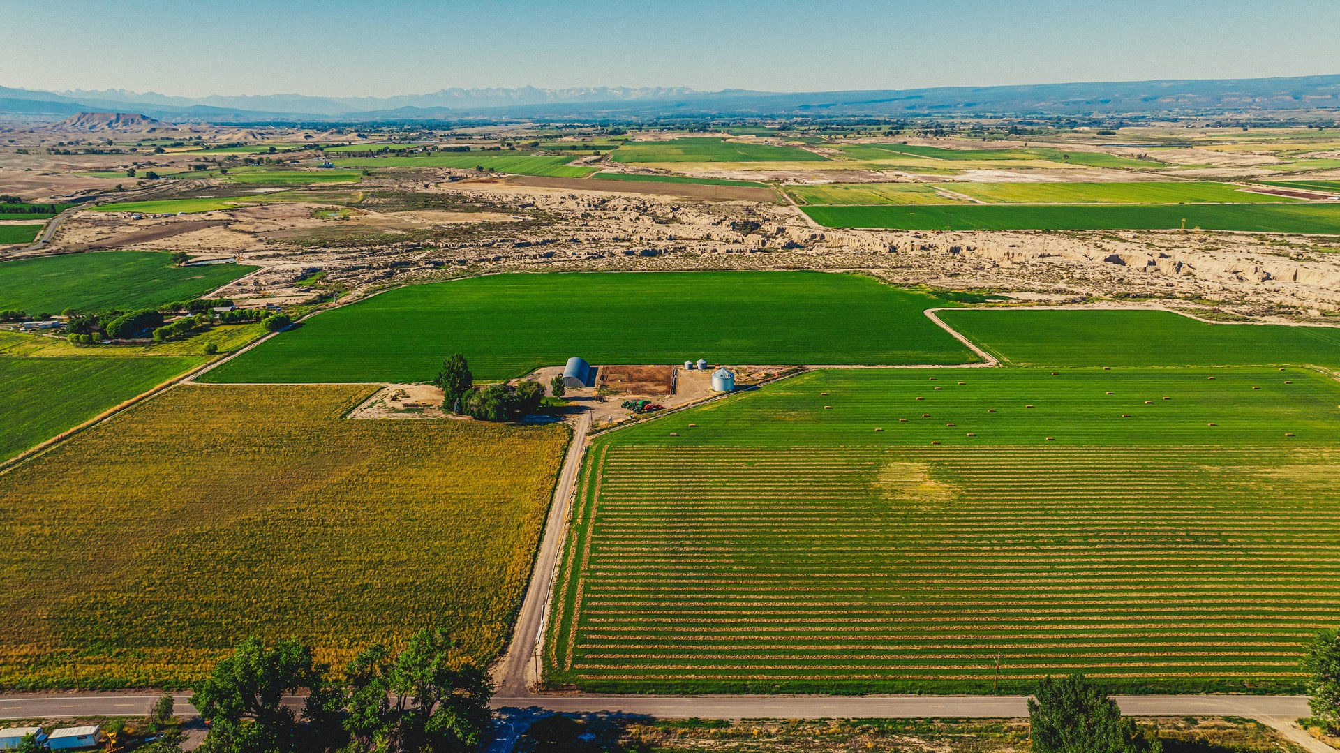 Western Colorado Irrigated Hay and Row Crop Farm with Home