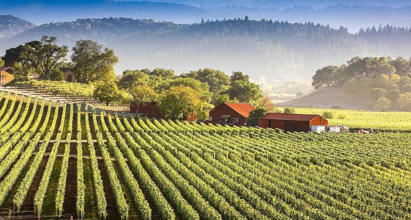 Vineyards For Sale - Northern California Wineries