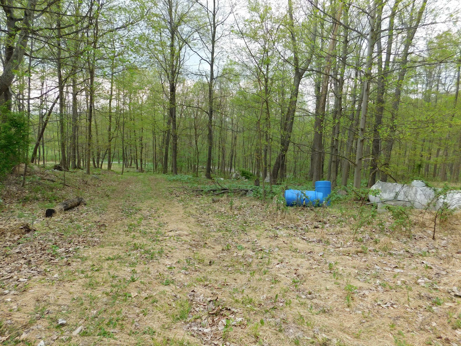 6.65 Acres in Western MD