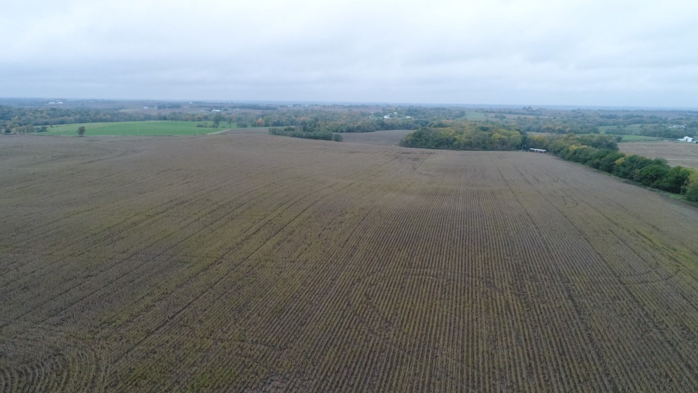 95+/- Acres, Andrew Co, Mo, Row crop, Build site, Hunting